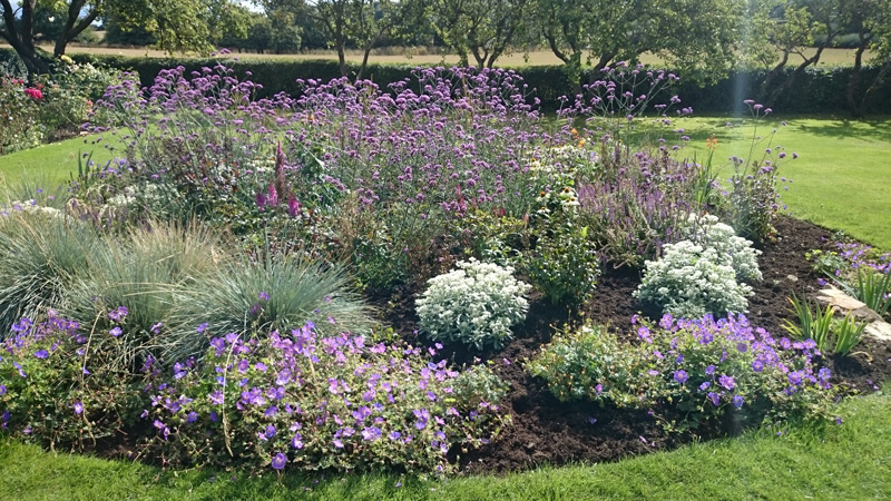 Gallery - Pro Gardens