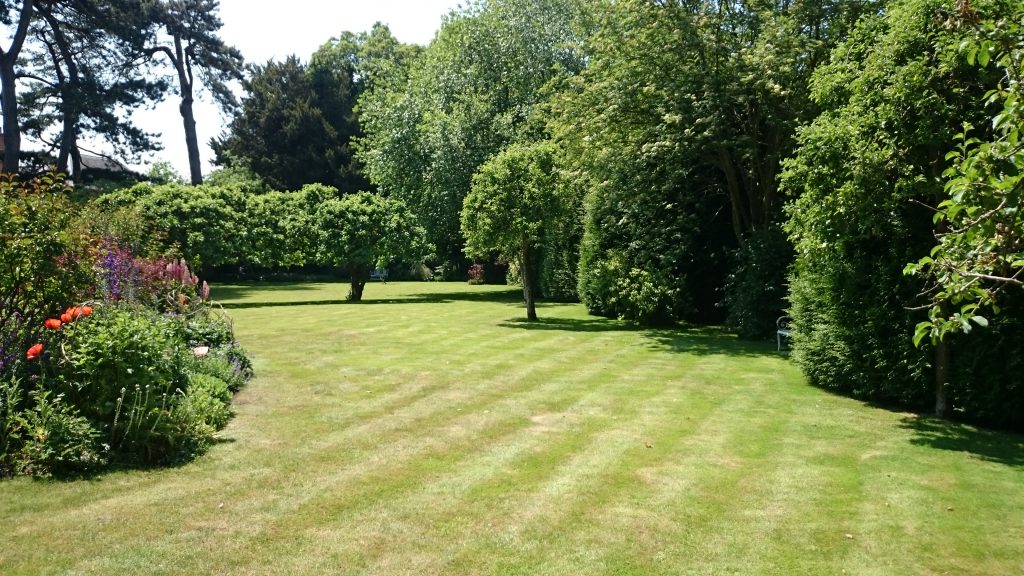Pro Lawns from Pro-Gardens - Pro Gardens