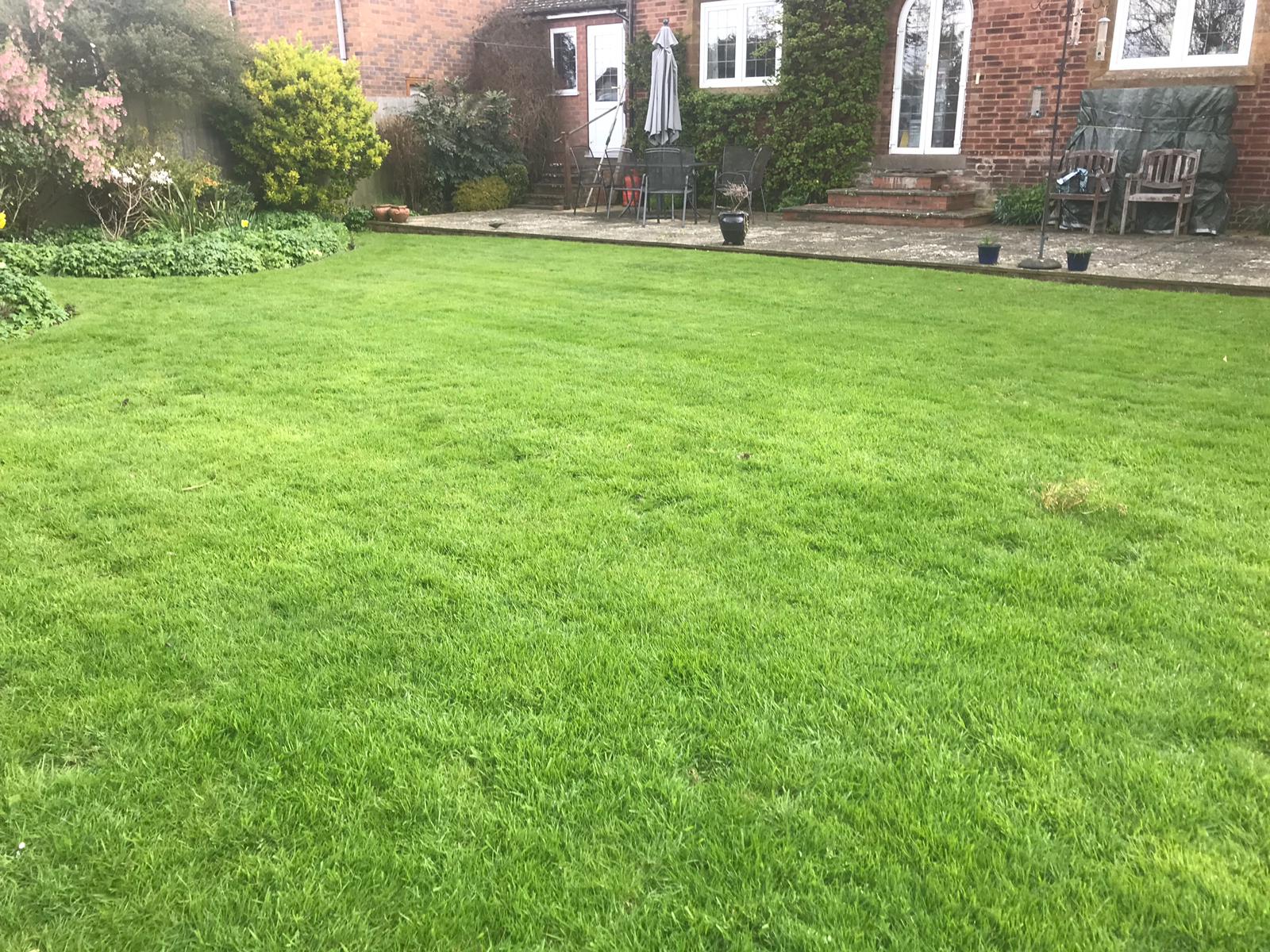 Pro Lawns from Pro-Gardens - Pro Gardens