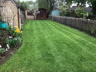 Pro Lawns from Pro-Gardens - Pro Gardens