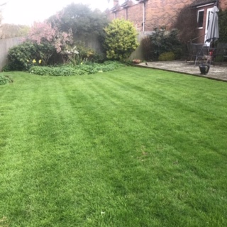 Gallery - Pro Gardens