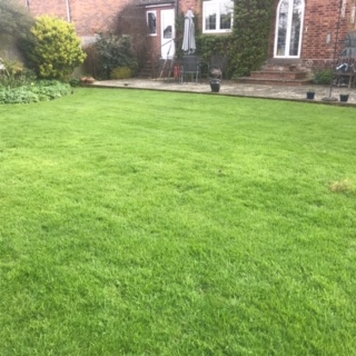 Gallery - Pro Gardens