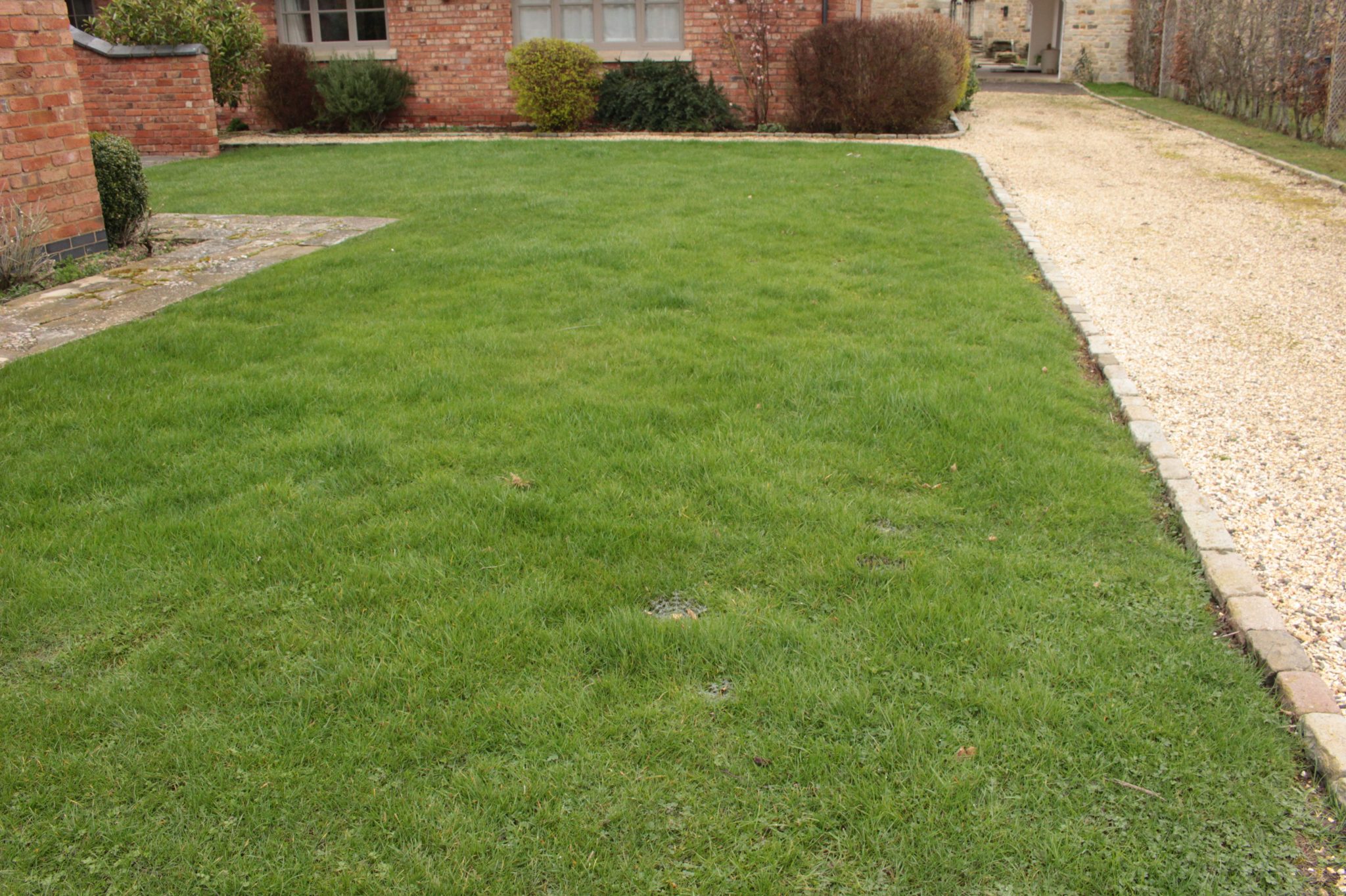 Pro Lawns from Pro-Gardens - Pro Gardens